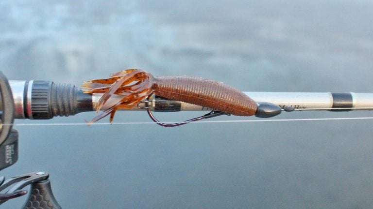 Yamamoto Fat Ika Review - Wired2Fish