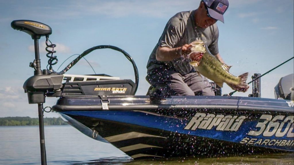 A Beginner’s Guide to Paddle Tail Swimbaits - Wired2Fish