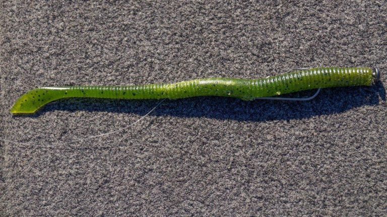 Introducing the Chicken Rig for Bass Fishing - Wired2Fish
