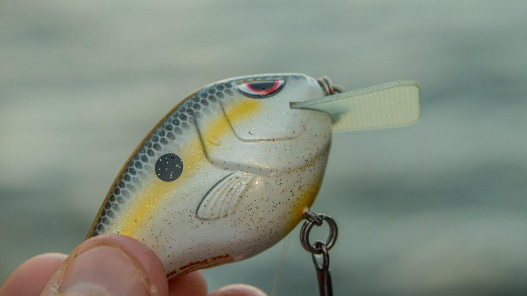 First Look: SPRO Fat Papa Squarebill - Wired2Fish