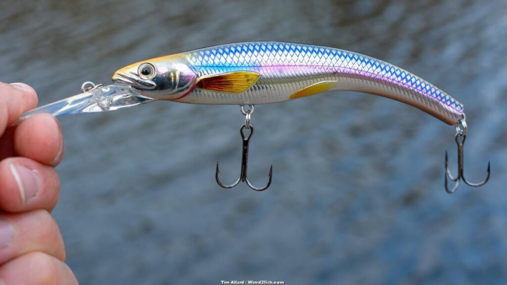 4 Tips for Fishing Ledge Walleyes - Wired2Fish