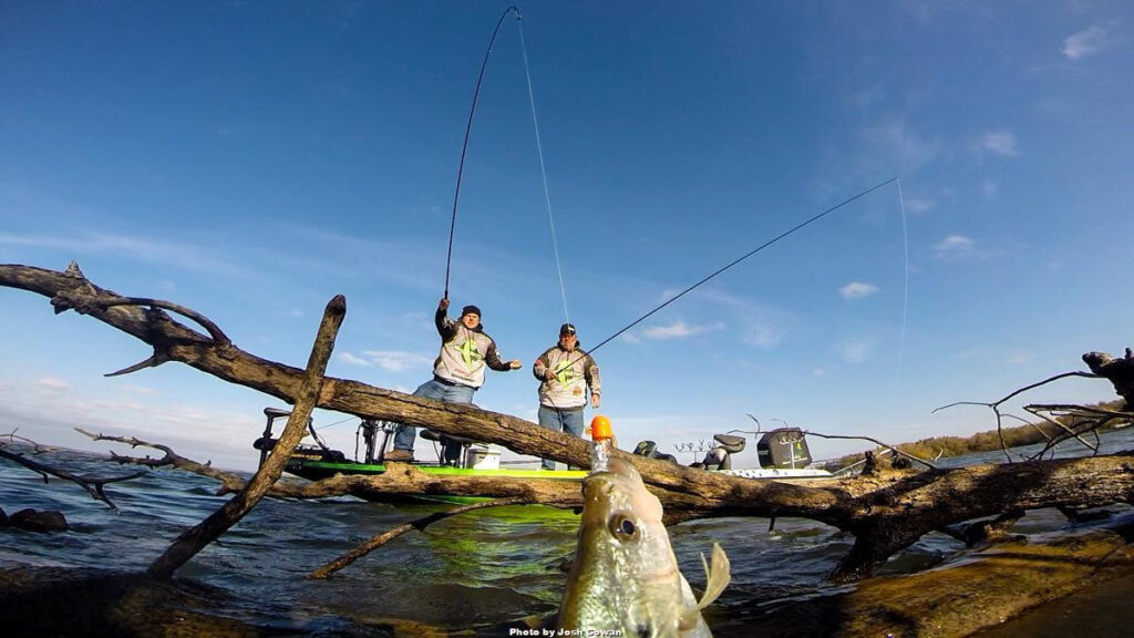 A Guide to Catching Crappie During the Spawn - Wired2Fish