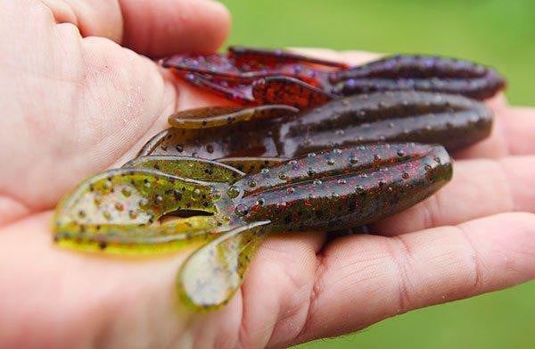 Zoom Z Hog Review - Wired2Fish