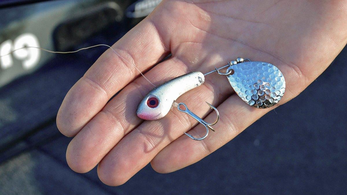 How to Trick Cold Water Bass with Tail Spins - Wired2Fish
