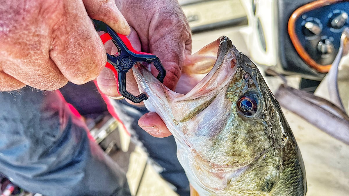 Rapala Lip Grip Cull Tags Review - Wired2Fish