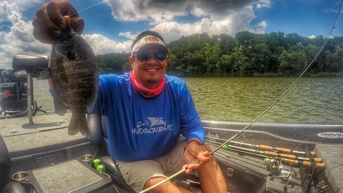 How to Catch Bluegill | A Simple Guide to Bluegill Fishing - Wired2Fish