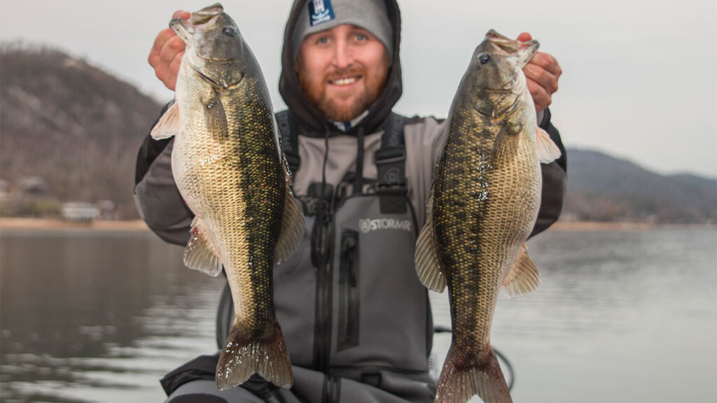 Spotted Bass | A Comprehensive Species Guide - Wired2Fish