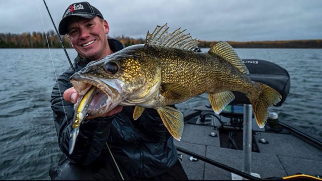 Walleye | A Comprehensive Species Guide - Wired2Fish