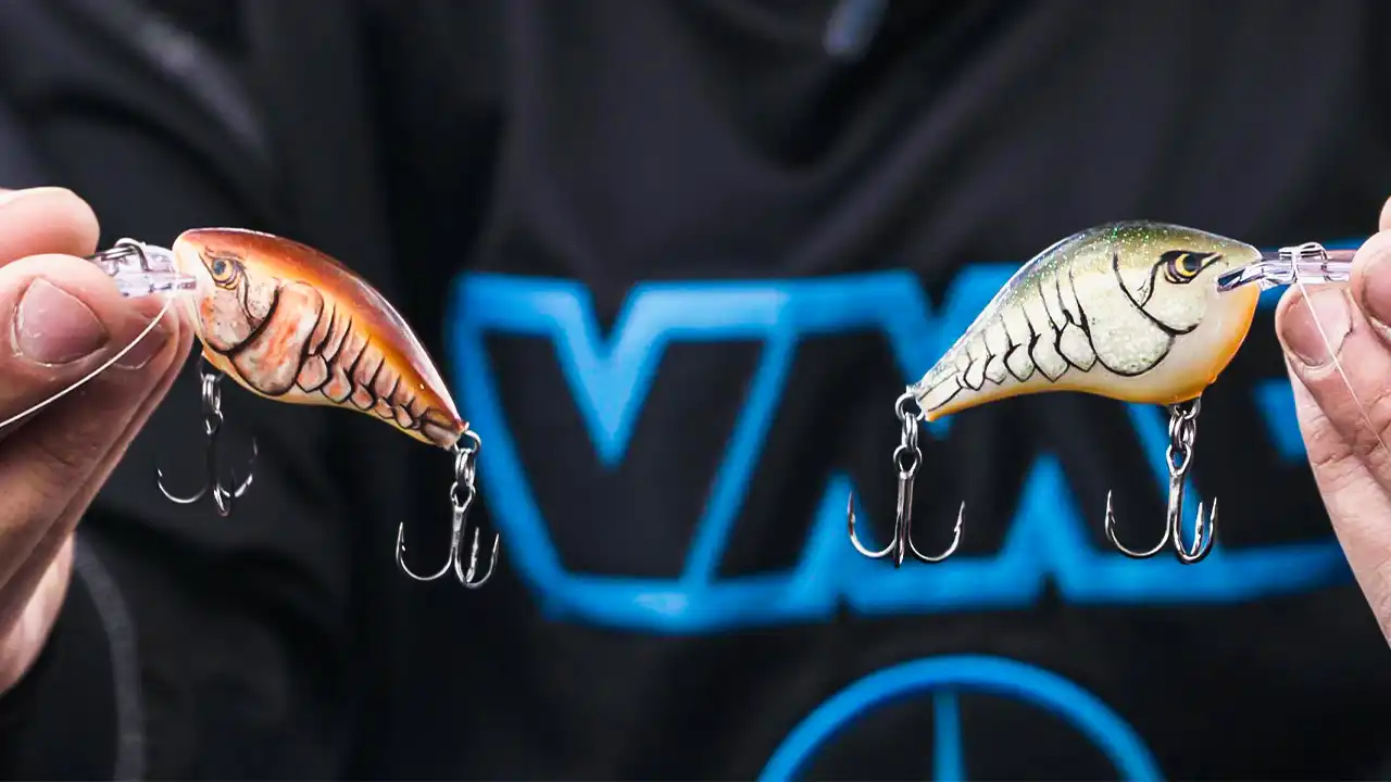 Rapala DT4 vs. DT6 | Seth Feider Explains Differences - Wired2Fish