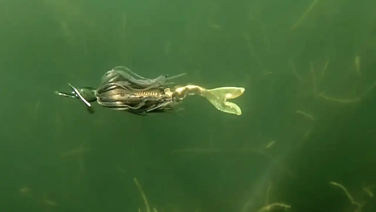 ChatterBait Fishing Grass: Howell's Summer Technique - Wired2Fish