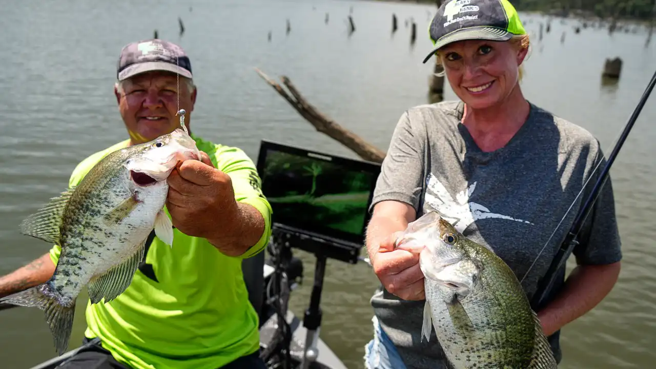 How to Catch Crappies in Standing Timber on Truman Lake - Wired2Fish
