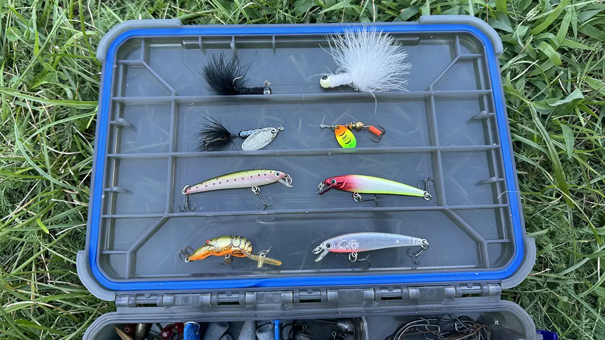 Panfishing Through the Summer Heat - Wired2Fish