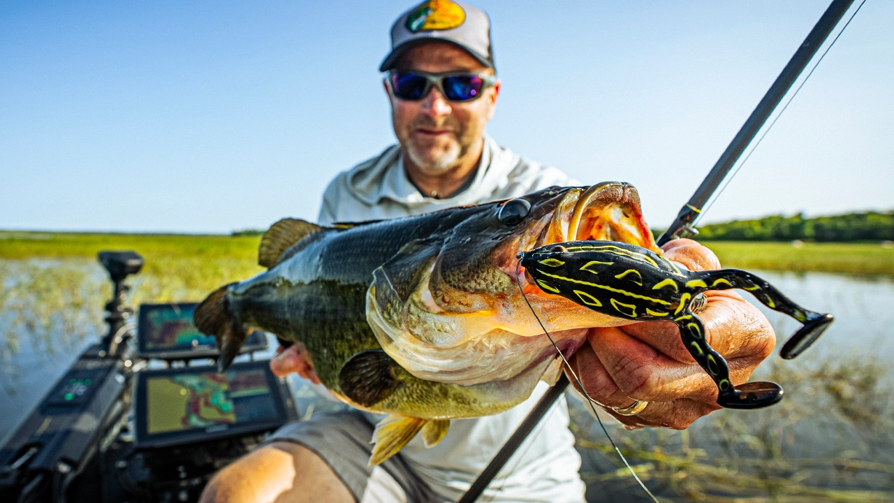 [VIDEO] Tips for Frog Fishing Bass on Grass Lakes - Wired2Fish