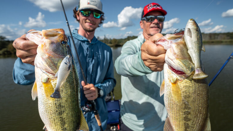 Matching the Hatch: Mastering the Bass-Shad Relationship - Wired2Fish