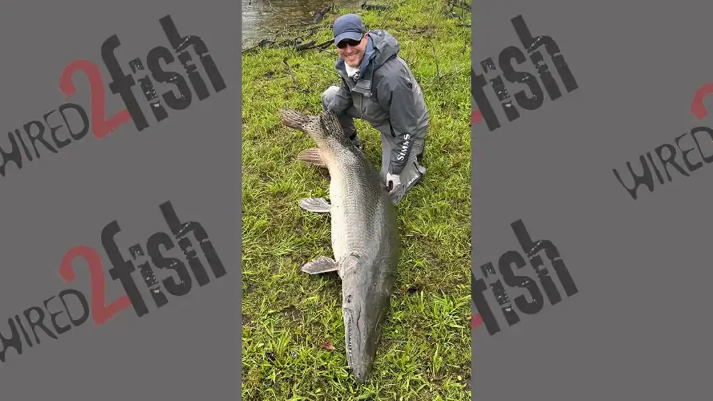 Chasing Dinosaurs: Record Alligator Gar Catches - Wired2Fish