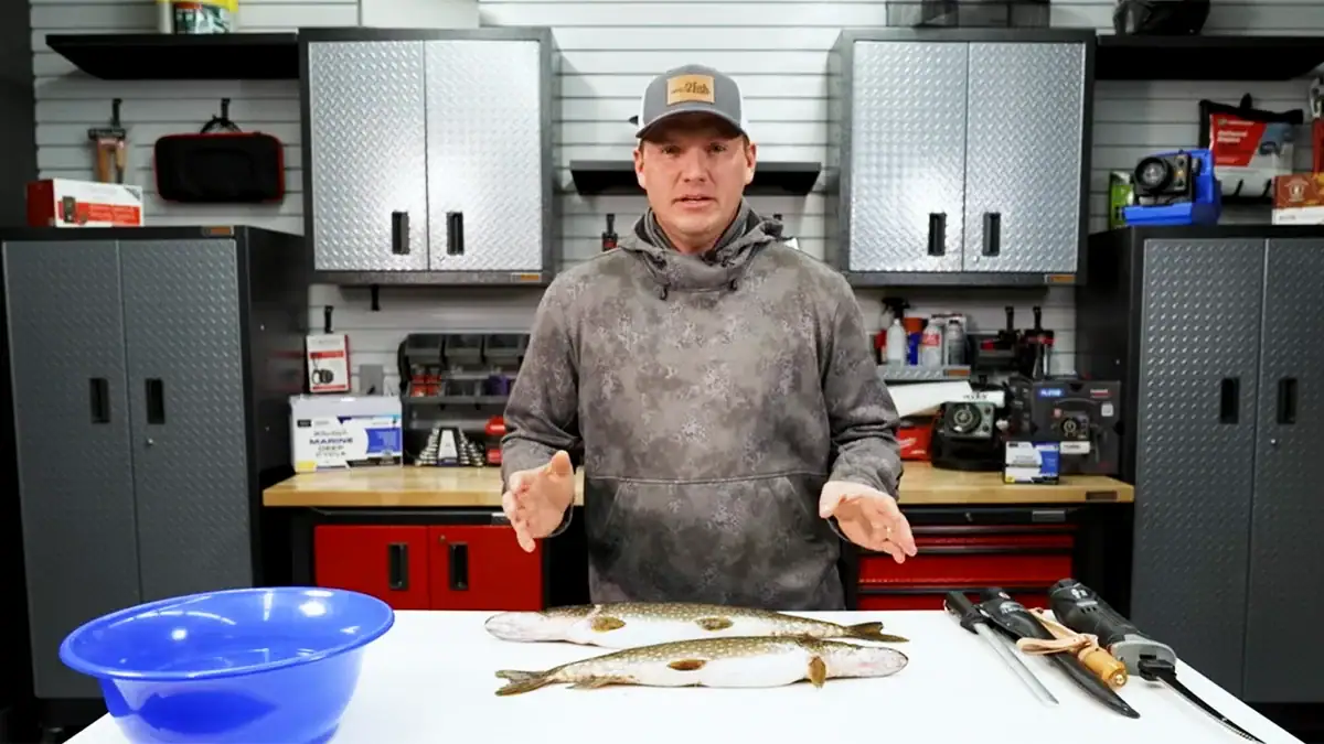 How to Clean a Northern Pike (No Bones!) - Wired2Fish